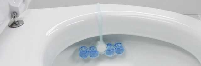 Toilet Blocks | Domestos