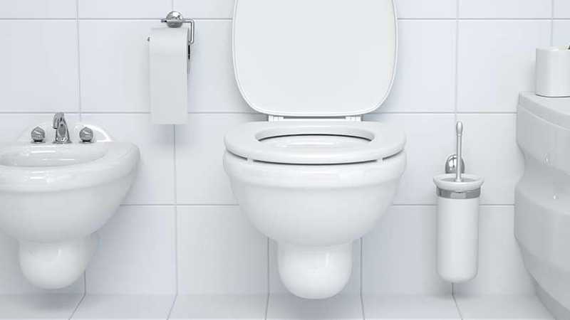 Our Products | Domestos